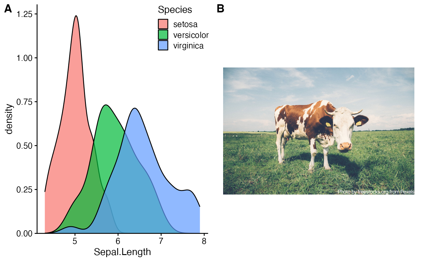 Draw an image — draw_image • cowplot